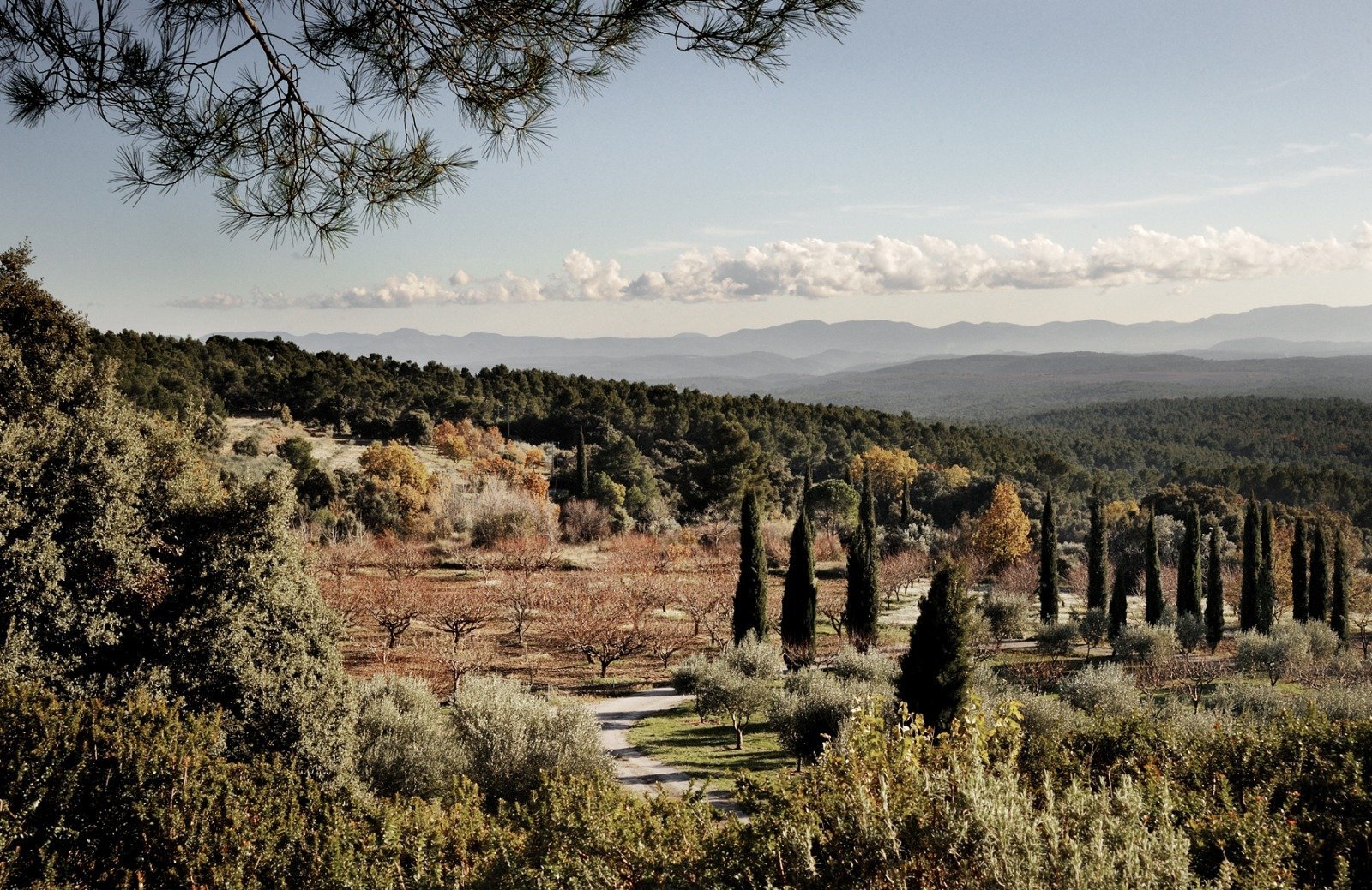 Missions - Fondation des Treilles