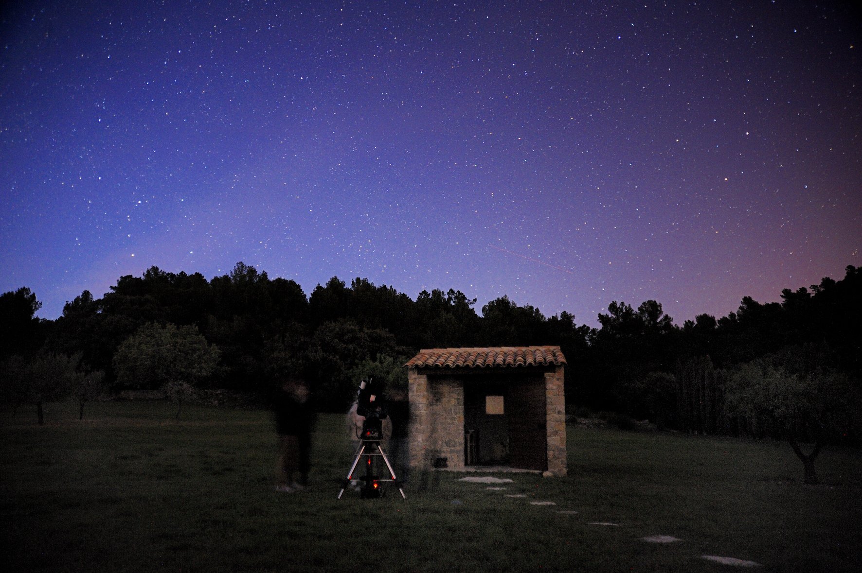 La création - Fondation des Treilles